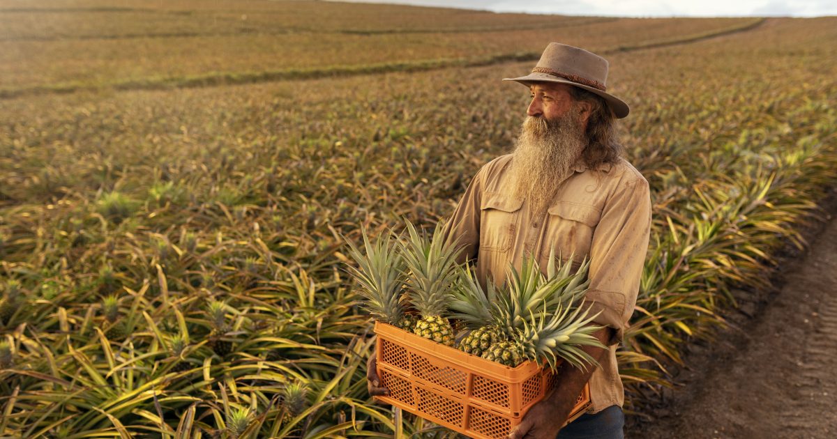 New Word Order | DESBT Business Support